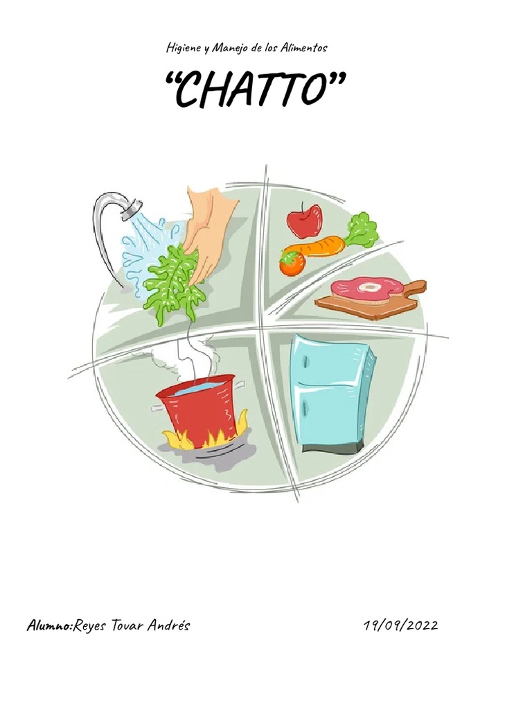 Control de CHATTO en Alimentos | PDF | Alimentos | Las bacterias