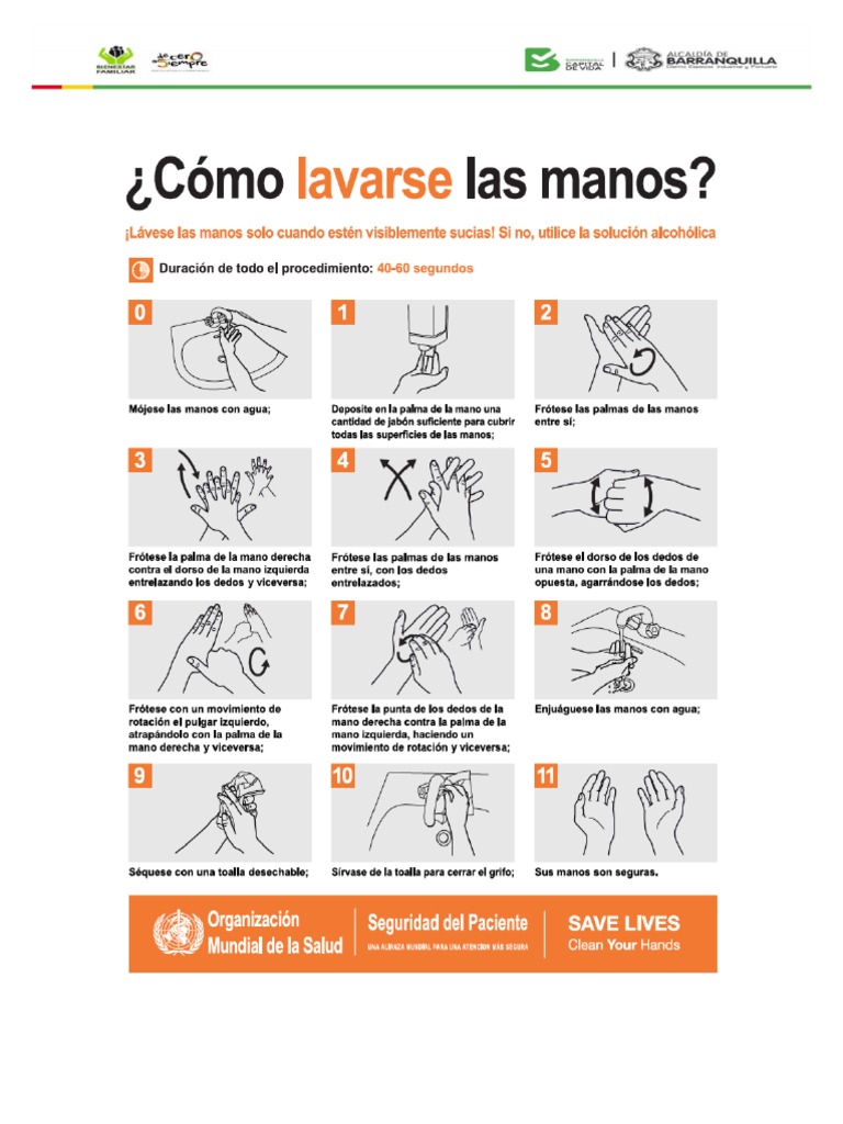 Protocolo de Lavado de Manos | PDF