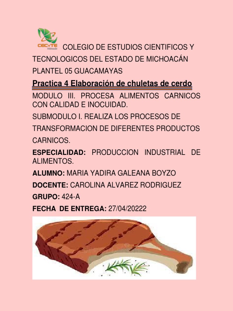 Mygb P4-Chuletas 424-A | PDF | Carne | Cerdo