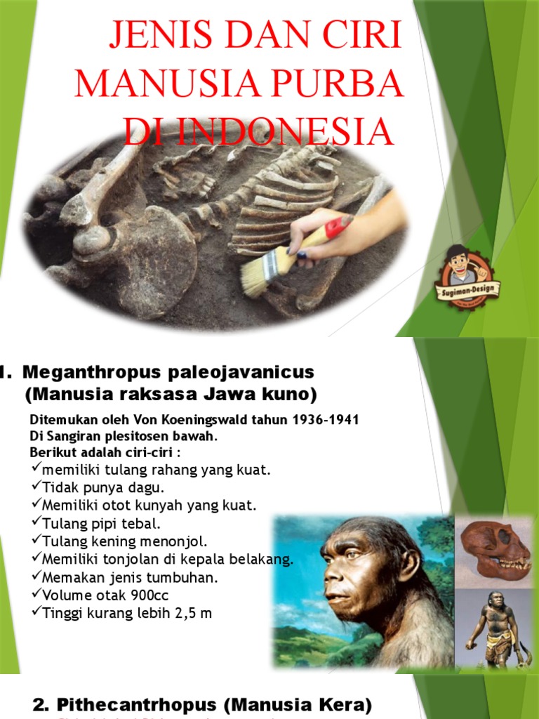 Ciri-Ciri Manusia Purba di Indonesia | PDF