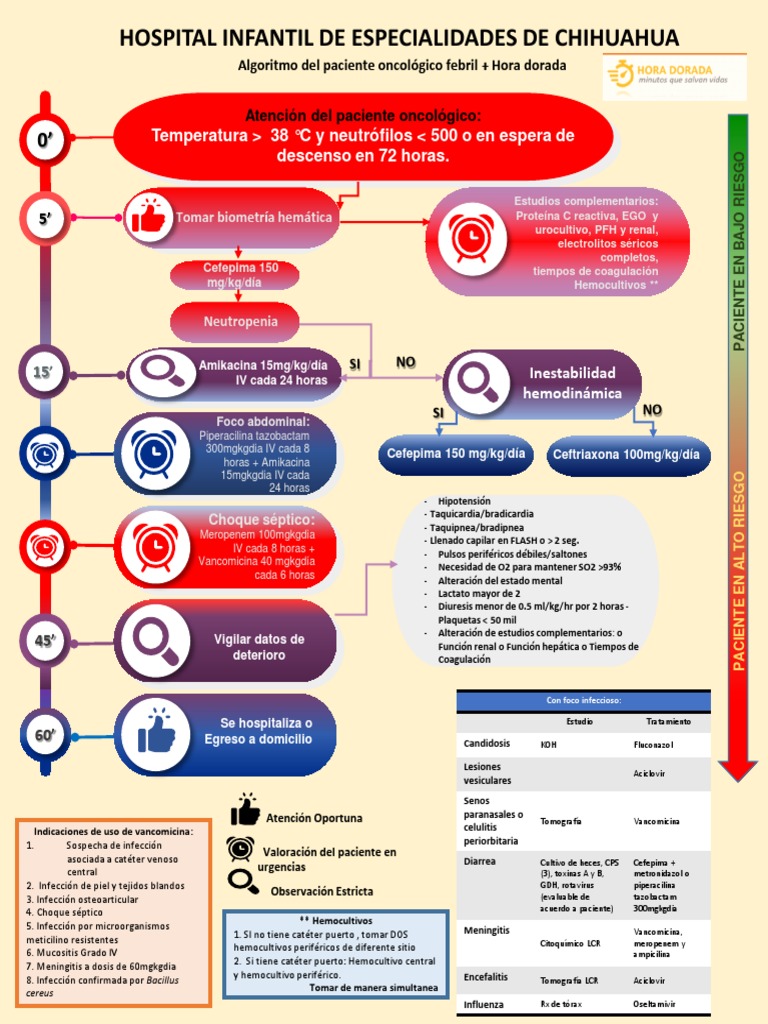 Hora Dorada | PDF | Medicina CLINICA | Especialidades Medicas Hora Dorada | PDF | Medicina CLINICA | Especialidades Medicas