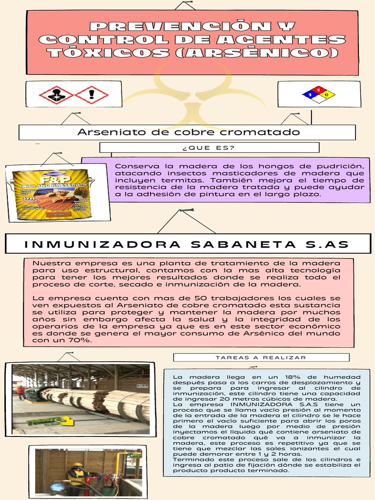 Infografia Riesgos Toxicologicos | PDF | Arsénico | Especialidades Medicas