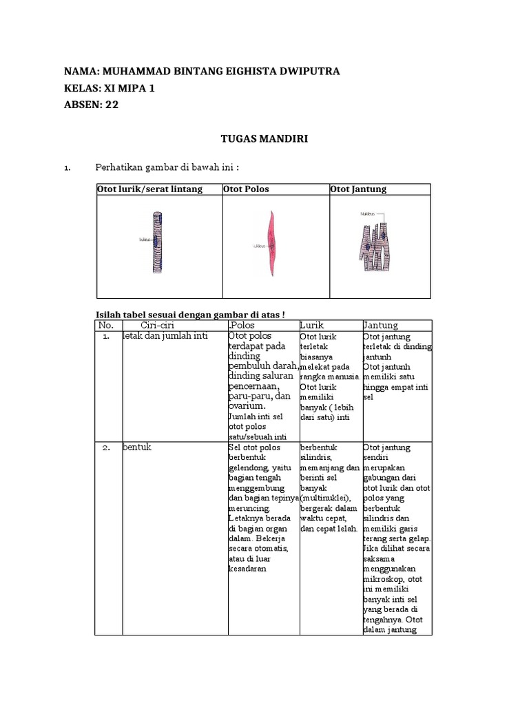 TUGAS MANDIRI JAR. OTOT DAN SARAF - Muhammad Bintang Eighista Dwiputra (22) - XI MIPA 1 | PDF