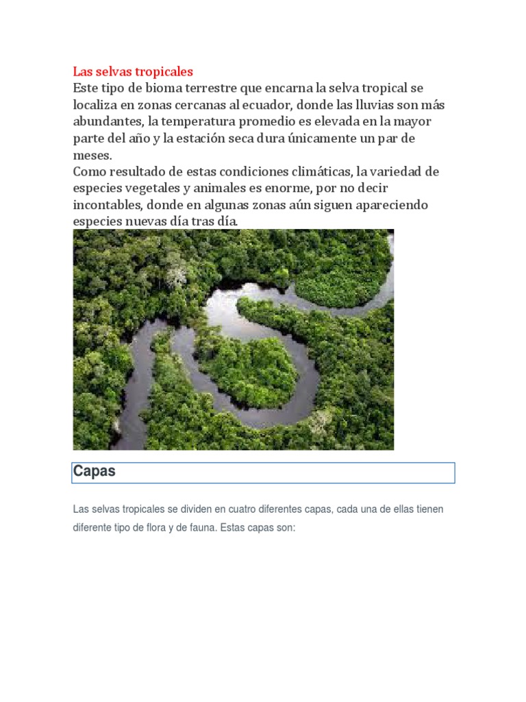 Las Selvas Tropicales1 | PDF | Selva | Zona tropical