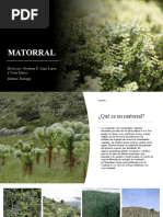 Matorrales: Desafíos y Conservación | PDF | México | Agricultura