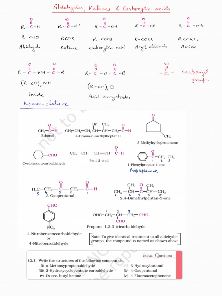 Chapter 12 Aldehydes Ketone and Carboxylic Acids Handwritten Notes | PDF