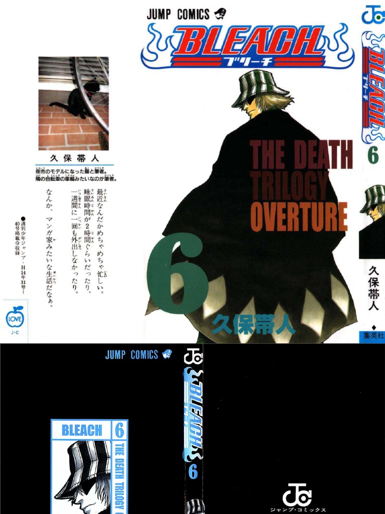 Bleach Vol. 06 | PDF