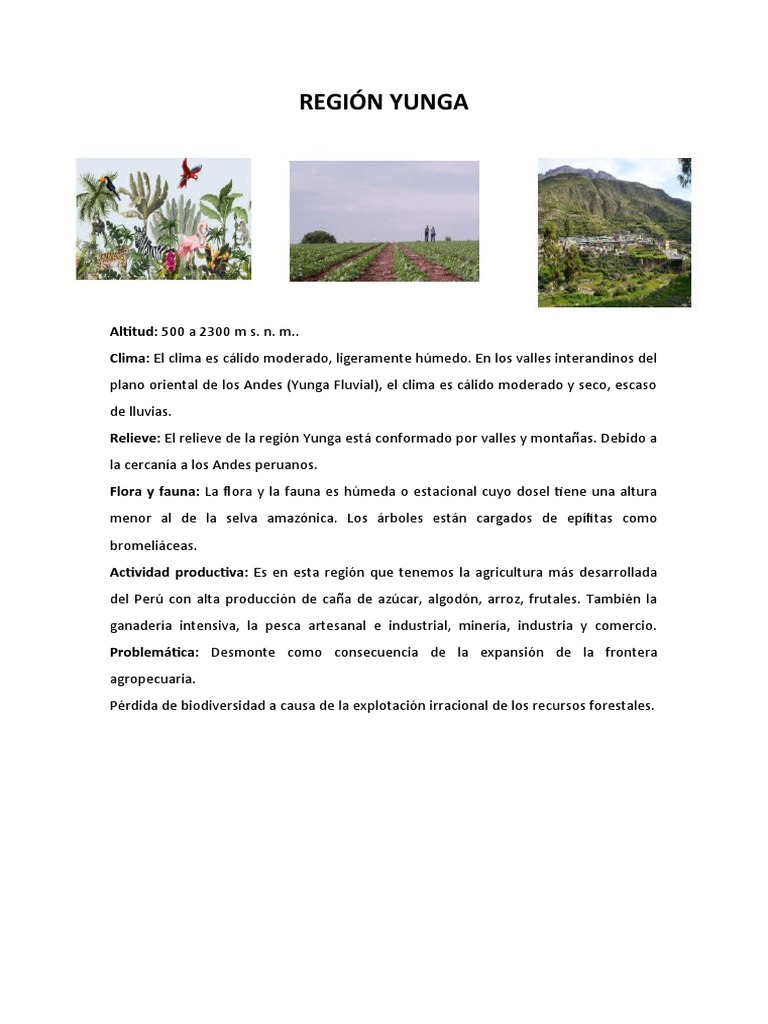 Región Yunga | PDF | Viajes y turismo | Hogar, jardinería y bricolaje