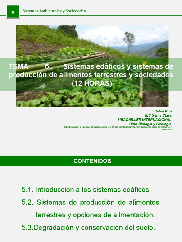 5.1. Introduccióna Al Sistema Edáfico. | PDF | Suelo | Meteorización