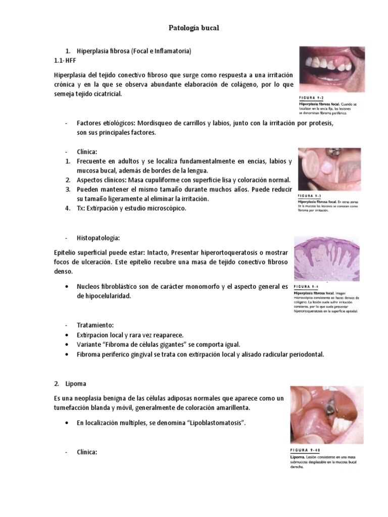 Patologia Bucal | PDF | Cáncer | Anatomía