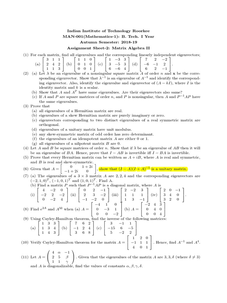 Assignment 2 (MAN 001) | Download Free PDF | Eigenvalues And Eigenvectors | Matrix (Mathematics)