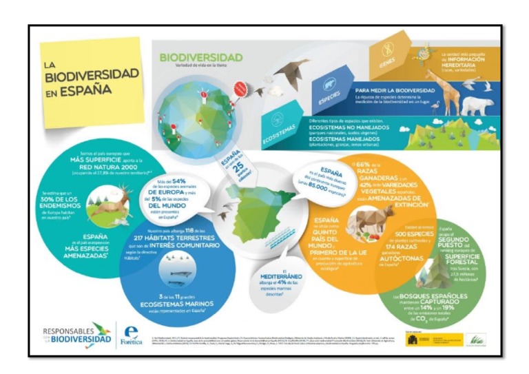 Infografia Biodiversidad en España | PDF