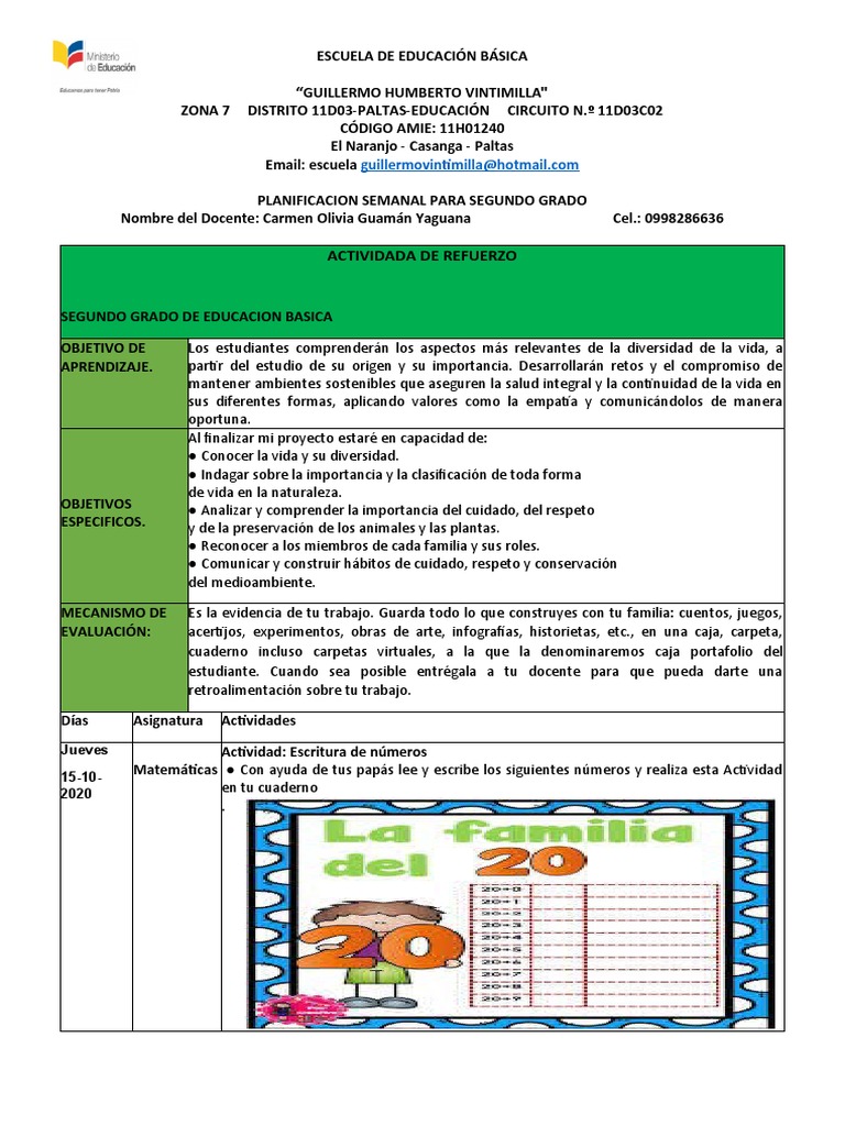 Actividada de Refuerzo Segundo Grado | PDF | Educación primaria | Cognición