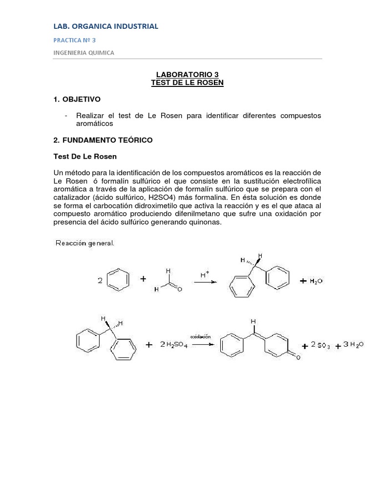 PRACTICA 3 (Test de Le Rosen) | PDF