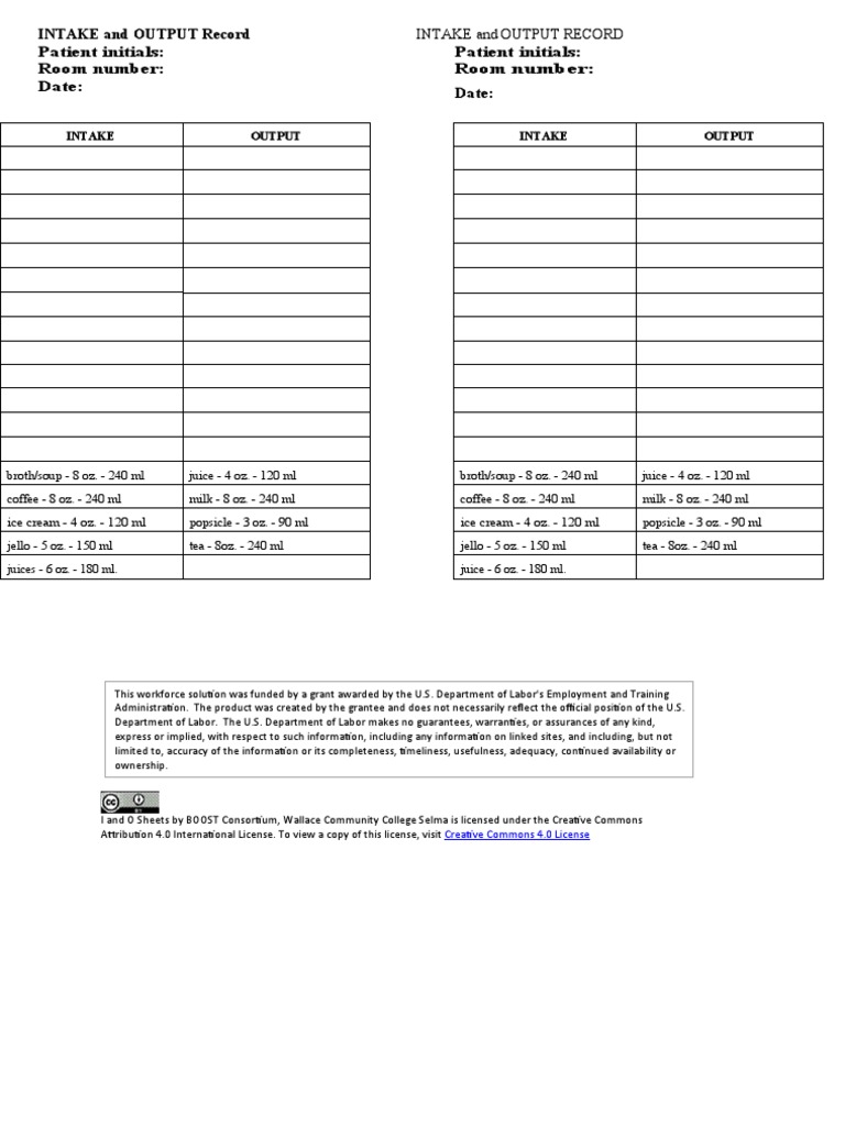 Patient Intake and Output Record | PDF