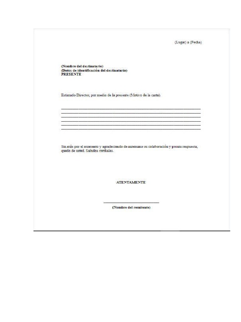 Formato de Carta | PDF