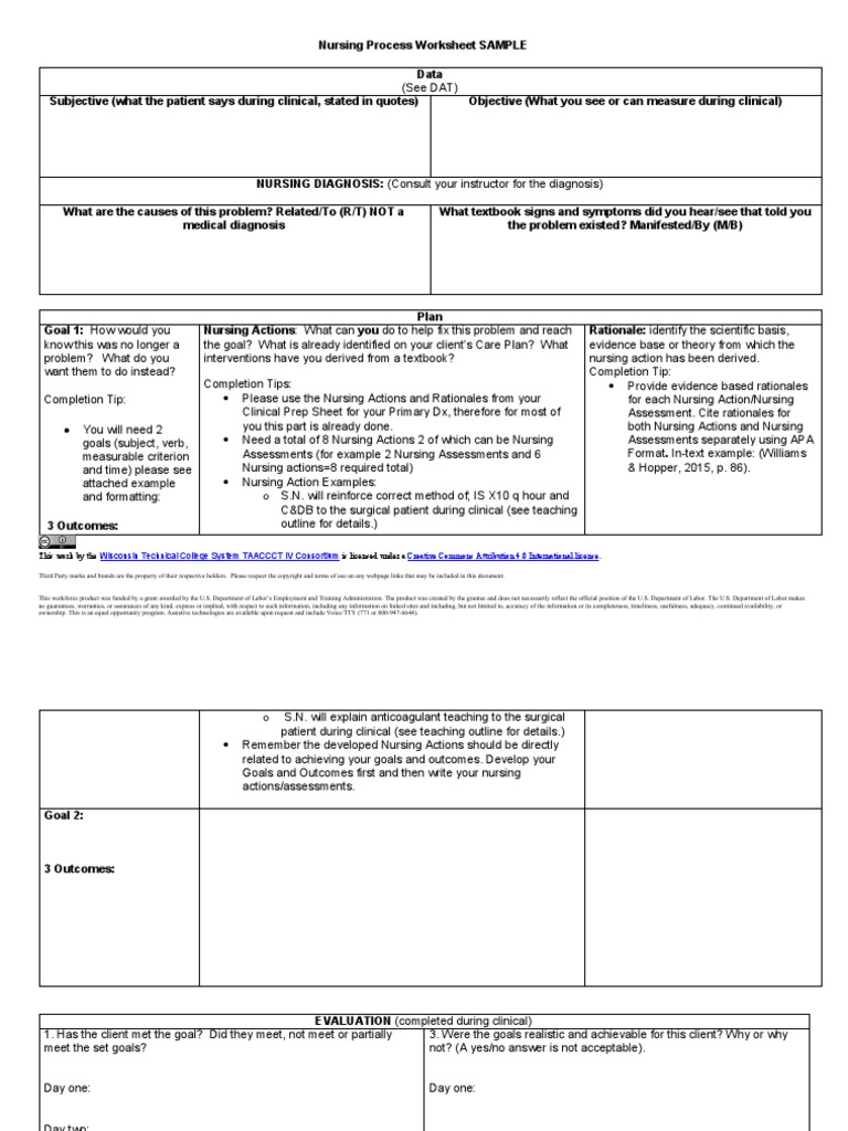 Nursing Process Worksheet SAMPLE 2 | PDF | Nursing | Evidence Based Medicine