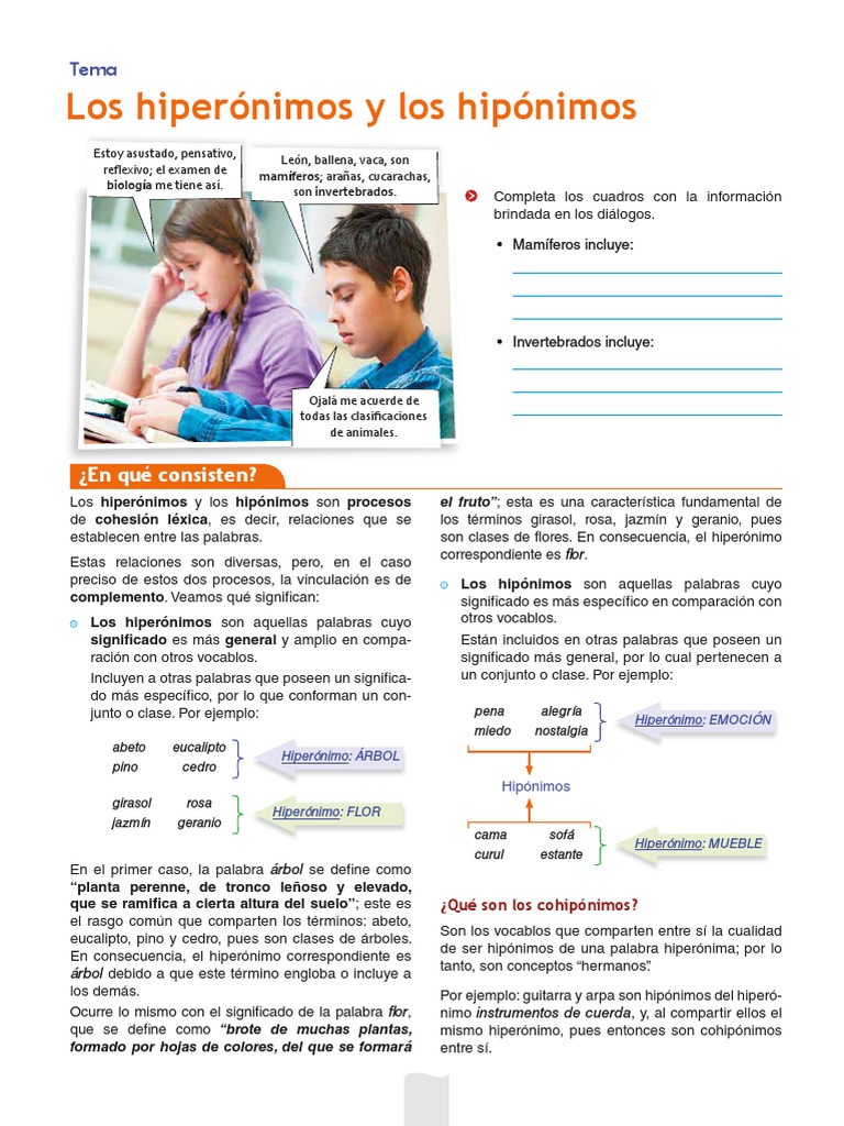 Hiperónimos e Hipónimos | PDF