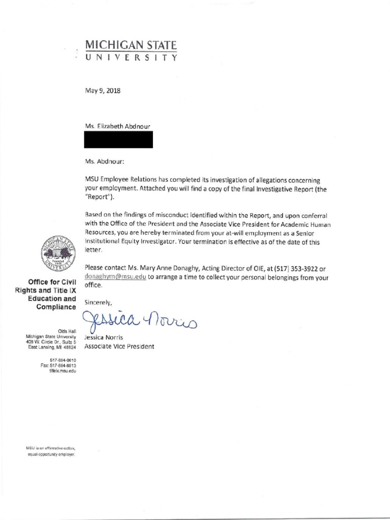 MSU Term LTR and Report | PDF