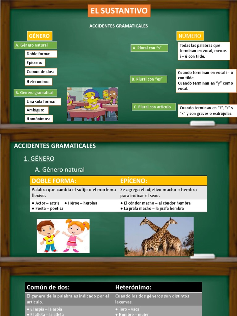 Guía de Género y Número Gramatical | PDF | Género gramatical | Sustantivo