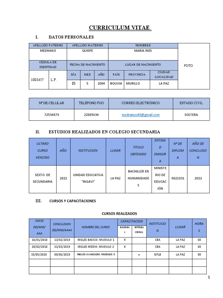 Formato Curriculum Vitae Estudiantes Cec Bethel 2022 | PDF