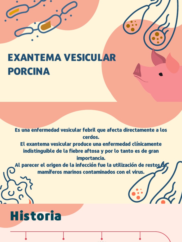 Exantema Vesicular en Cerdos | PDF | Virus | Especialidades Medicas