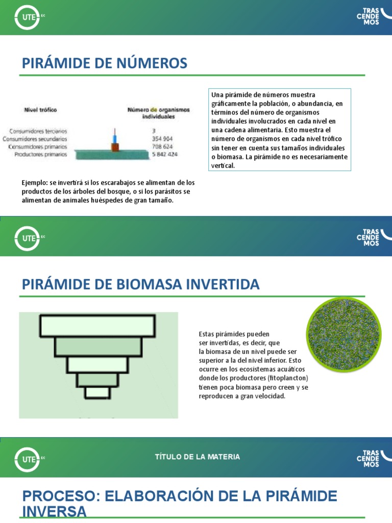 Pirámides Ecología | PDF | Biomasa (Ecología) | Tecnología Ambiental