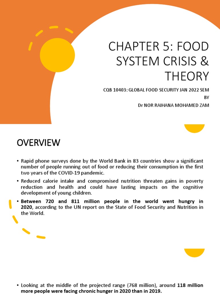 Global Food Crisis Analysis | PDF | Hunger | Food Security