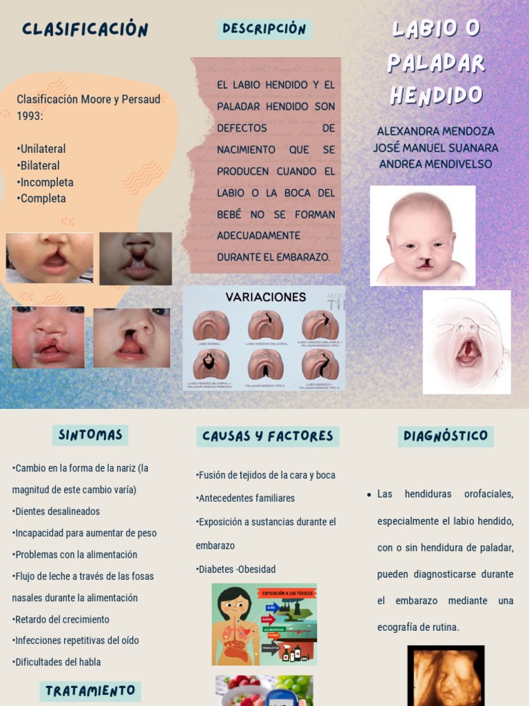 Labio o Paladar Hendido Folleto | PDF