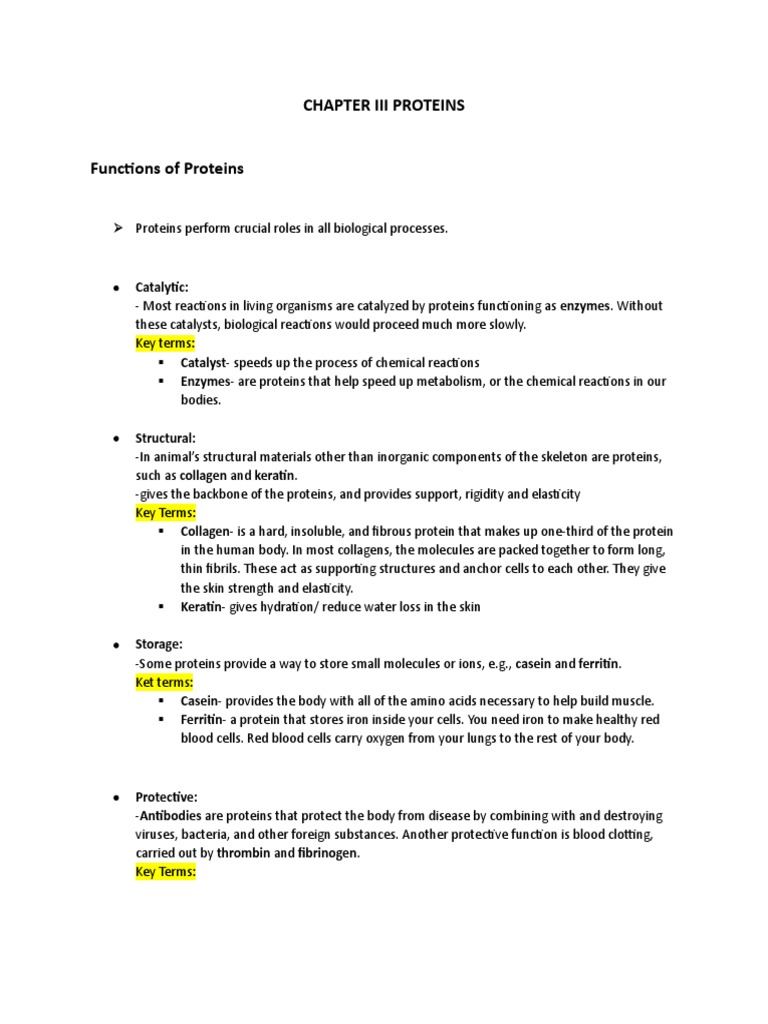 Chapter Iii Proteins | PDF | Protein Structure | Proteins