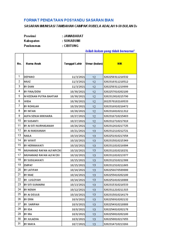 Final - Format Mikroplanning BIAN Puskesmas CIBITUNG TERBARU | PDF