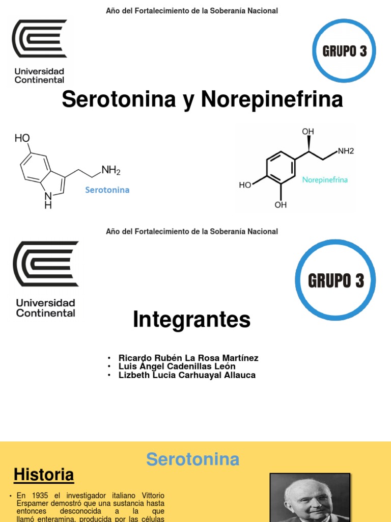 Serotonina y Norepinefrina: Funciones Clave | PDF | Serotonina ...