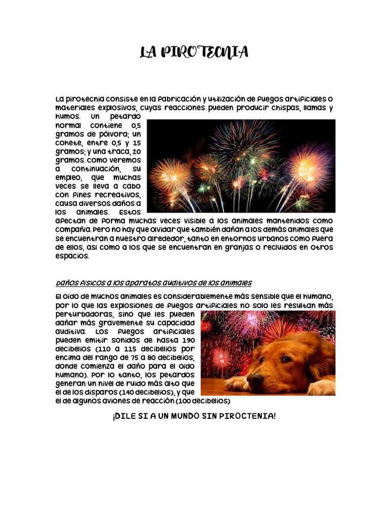 La Pirotecnia | PDF