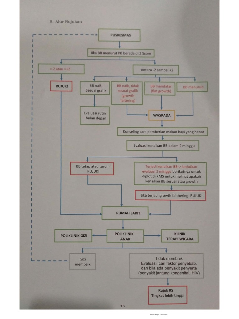 Alur Pasien Stunting | PDF