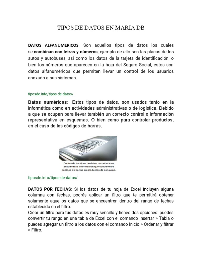 Tipos de Datos en Maria DB | PDF | Microsoft Excel | Tipo de datos