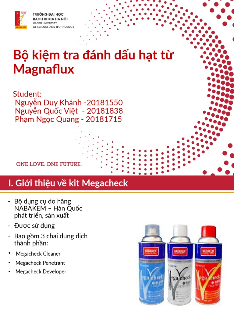 Slide Megacheck Kit | PDF