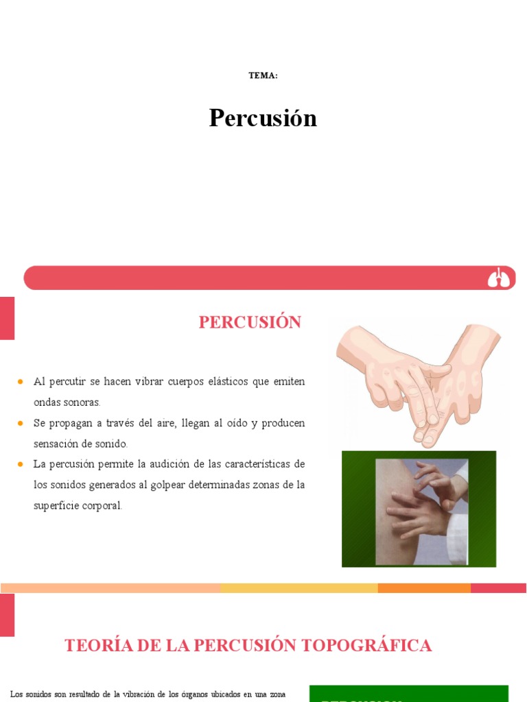 PERCUSION | PDF | Sonido | Pulmón