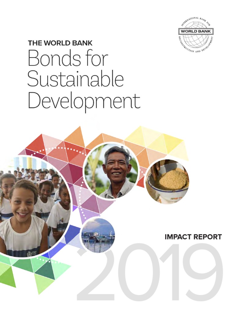 Impact Report | PDF | World Bank | World Bank Group