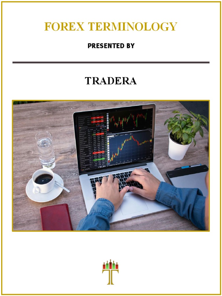 Forex Terminology | PDF | Foreign Exchange Market | Margin (Finance)