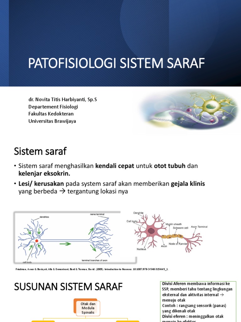 Patofisiologi Sistem Saraf 2022 | PDF