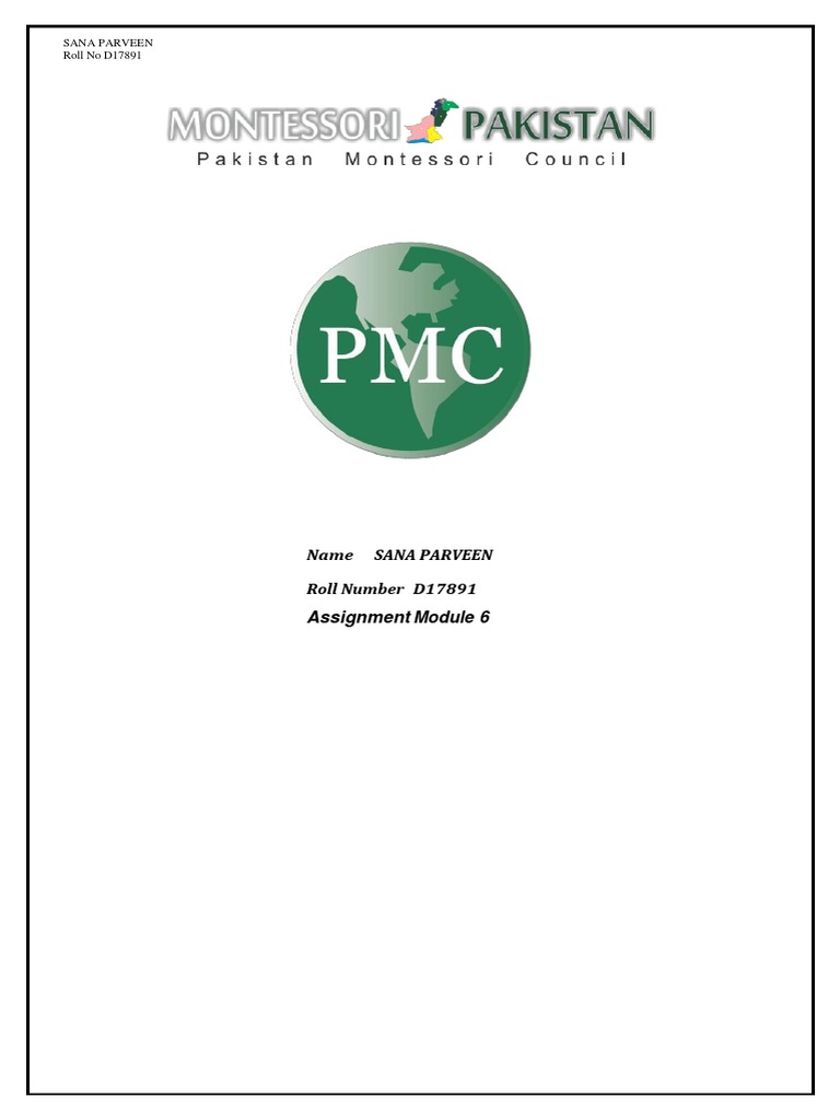 PMC Module 6 Assignment Sana Parveen d17891 PDF | PDF | Noun | Adjective