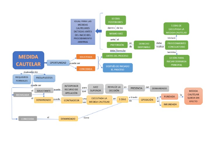 Flujograma de Medida Cautelar | PDF