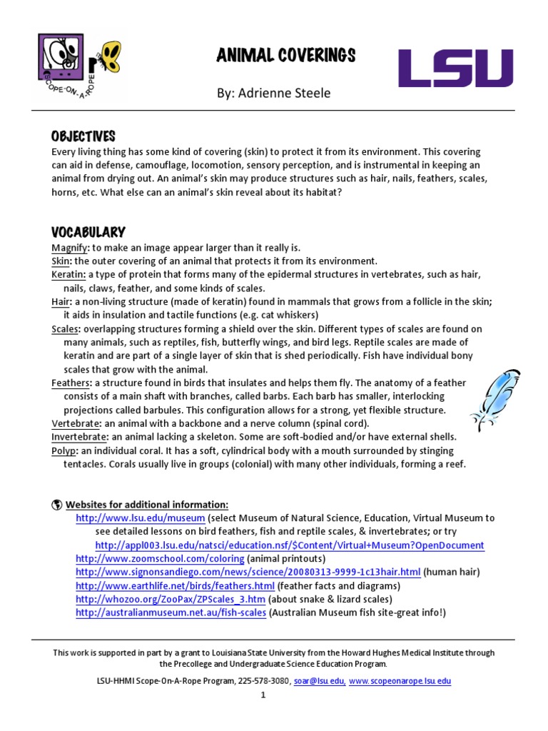 Animal Coverings | PDF | Feather | Skin