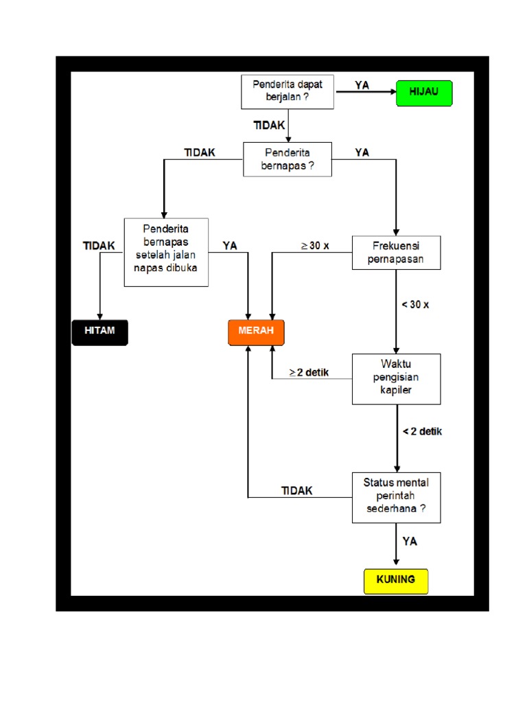 Algoritma Triase Pdf