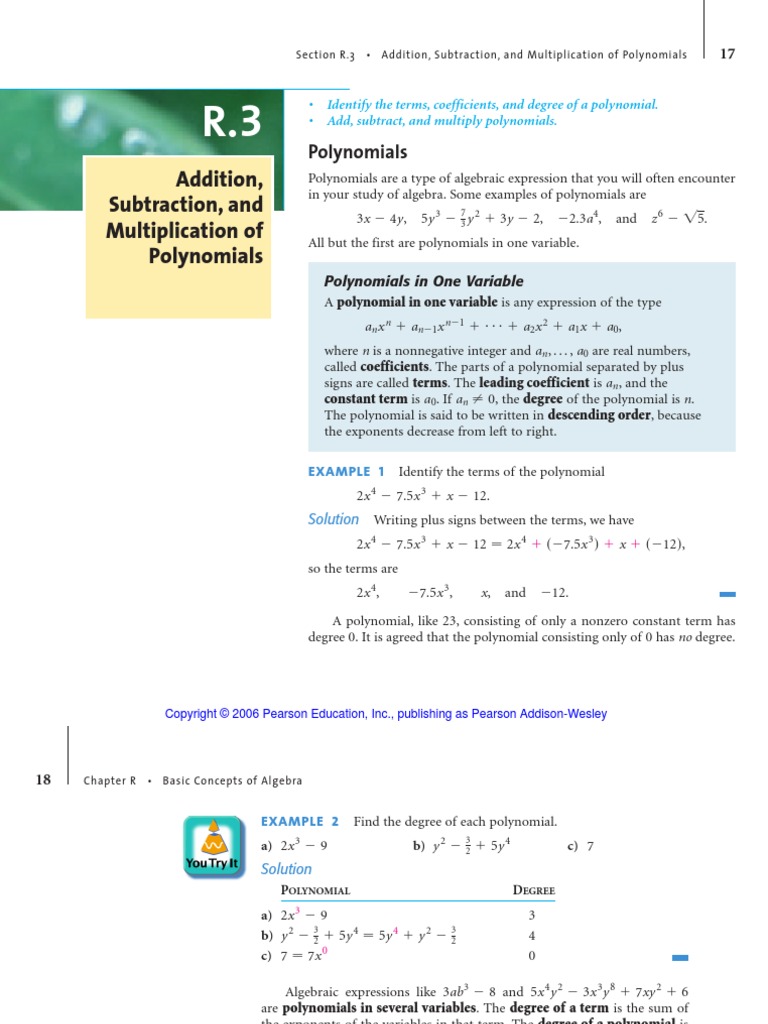 Polynomials Lesson Assign - Compressed | PDF | Polynomial | Mathematics Of Computing