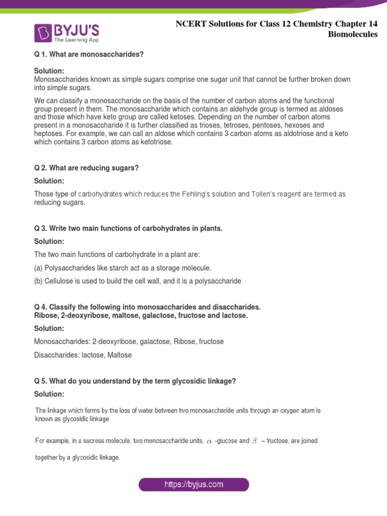 NCERT Solutions For Class 12 Chemistry Chapter 14 Biomolecules | PDF ...