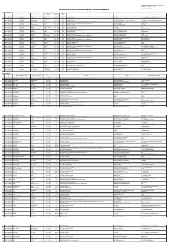 Data Final Pendataan Non Asn Kab - Bangka Selatan | PDF