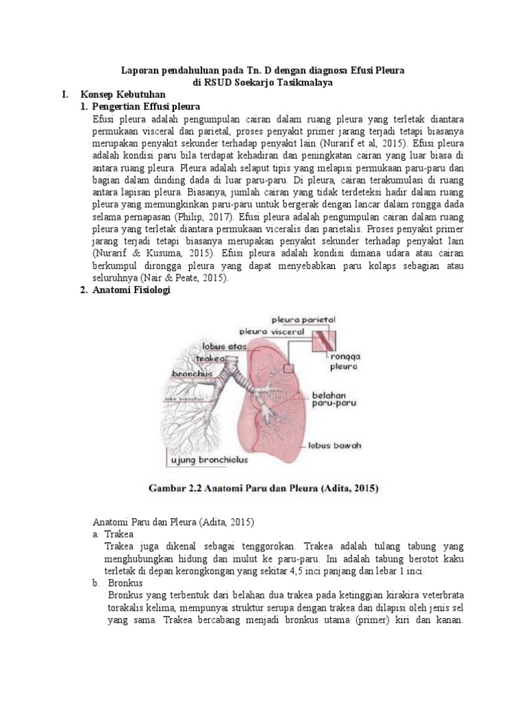 LP Efusi Pleura | PDF LP Efusi Pleura | PDF