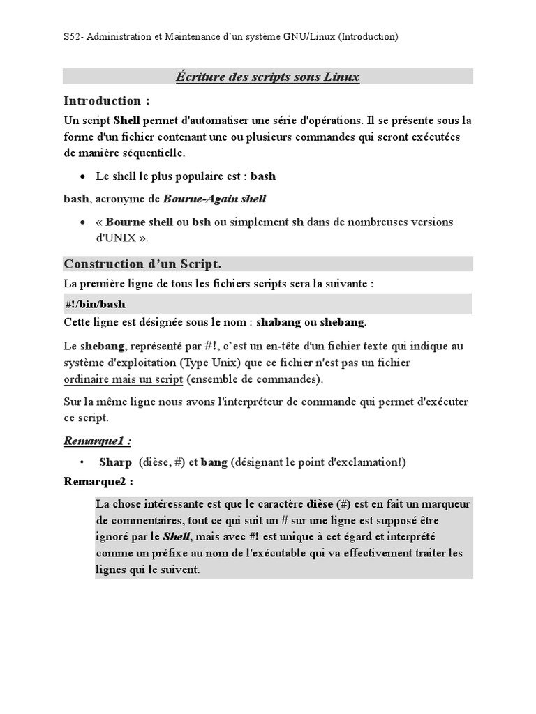 Introduction Au Script | PDF | Informatique | Génie logiciel