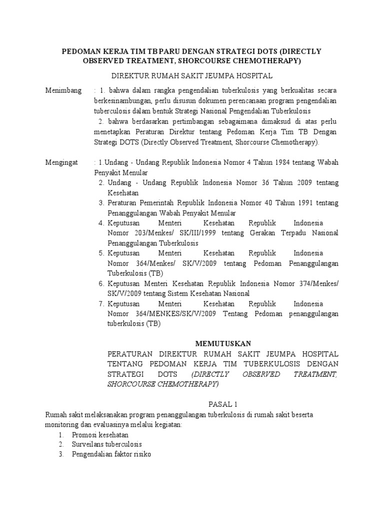 Pedoman Kerja Tim TB Paru Dengan Strategi Dots | PDF